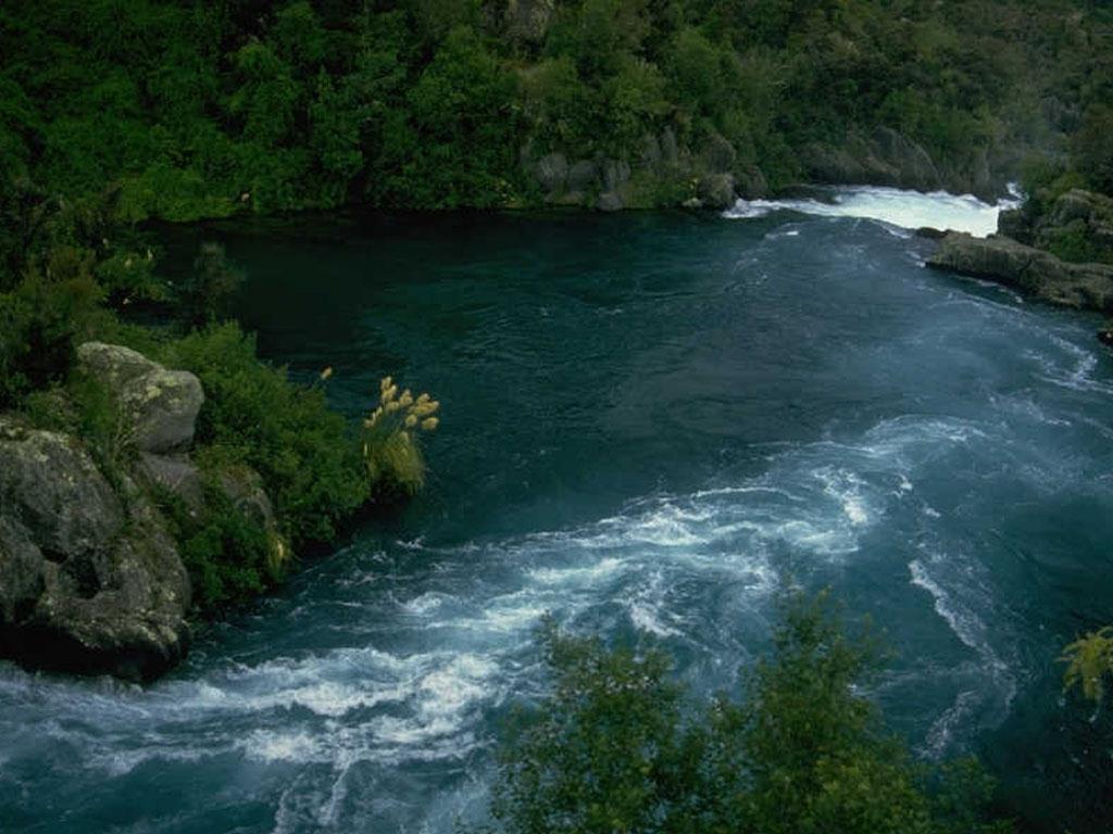 ECOSISTEMAS ACUATICOS: UNIDAD 1:- ECOSISTEMAS ACUATICOS